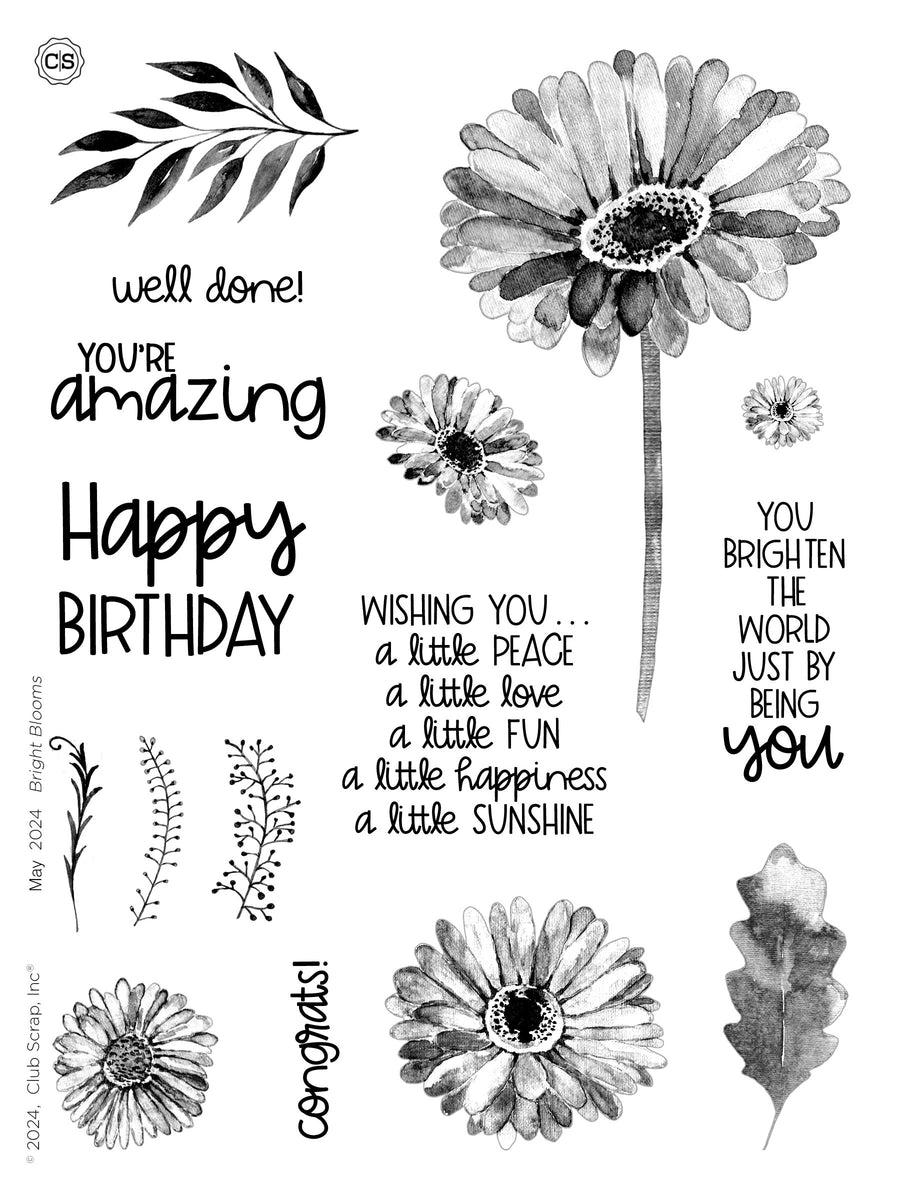 Bright Blooms Stamps – Club Scrap
