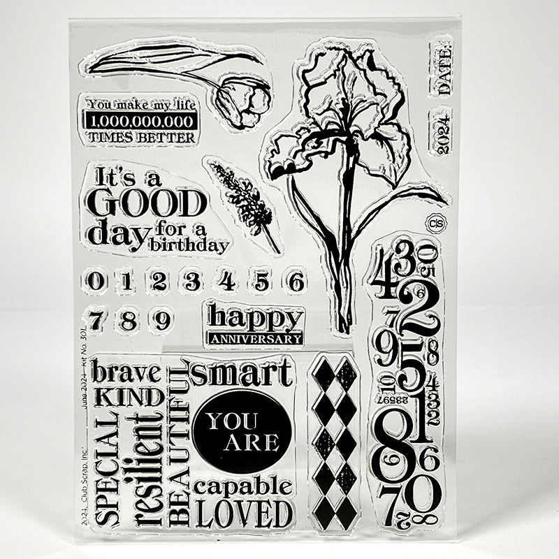 Kit No. 301 Stamps – Club Scrap