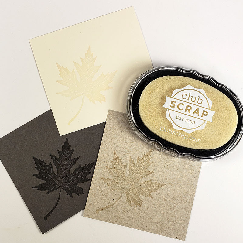 CS Watermark Ink Pad – Club Scrap